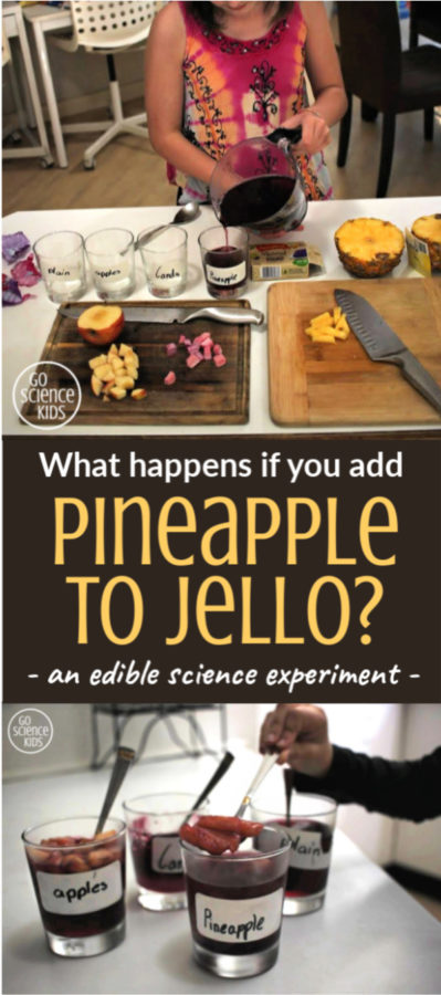 What happens if you add Pineapple to Jelly (or Jell-O)? – Go Science Kids